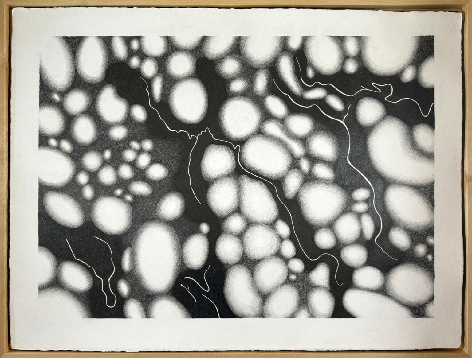 Meet Andrew Godwin - Voyage Knoxville Magazine