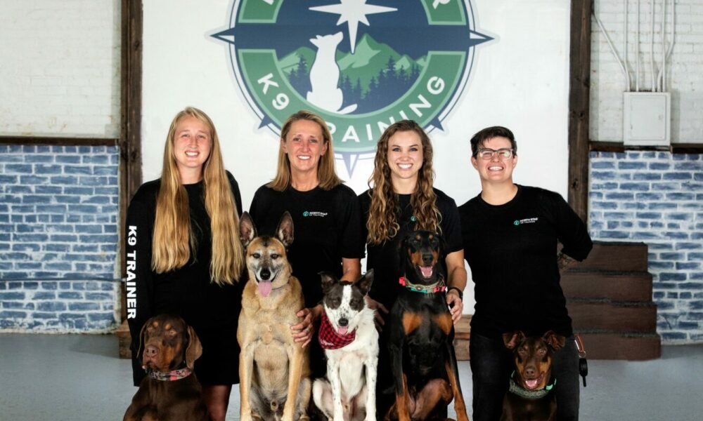 Inspiring Conversations with Chloe Brock of North Star K9 Training ...