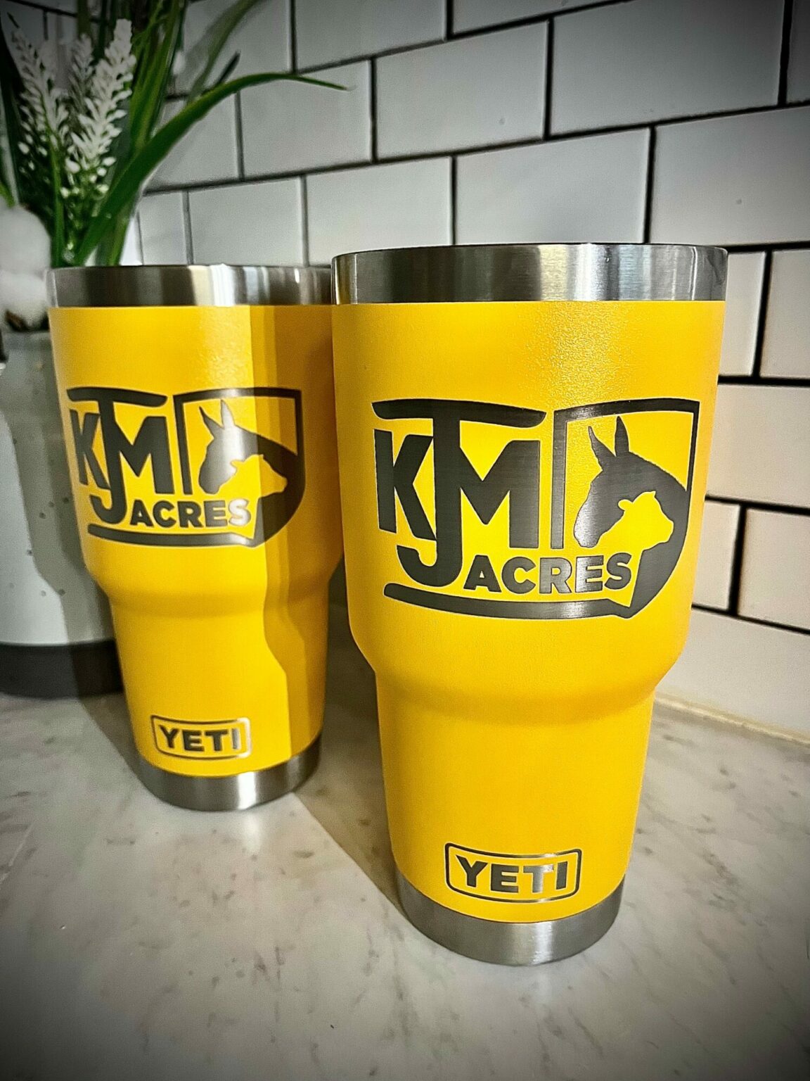 Check Out Steven Sampieri Daniel Hammac’s Story - Voyage Knoxville Magazine