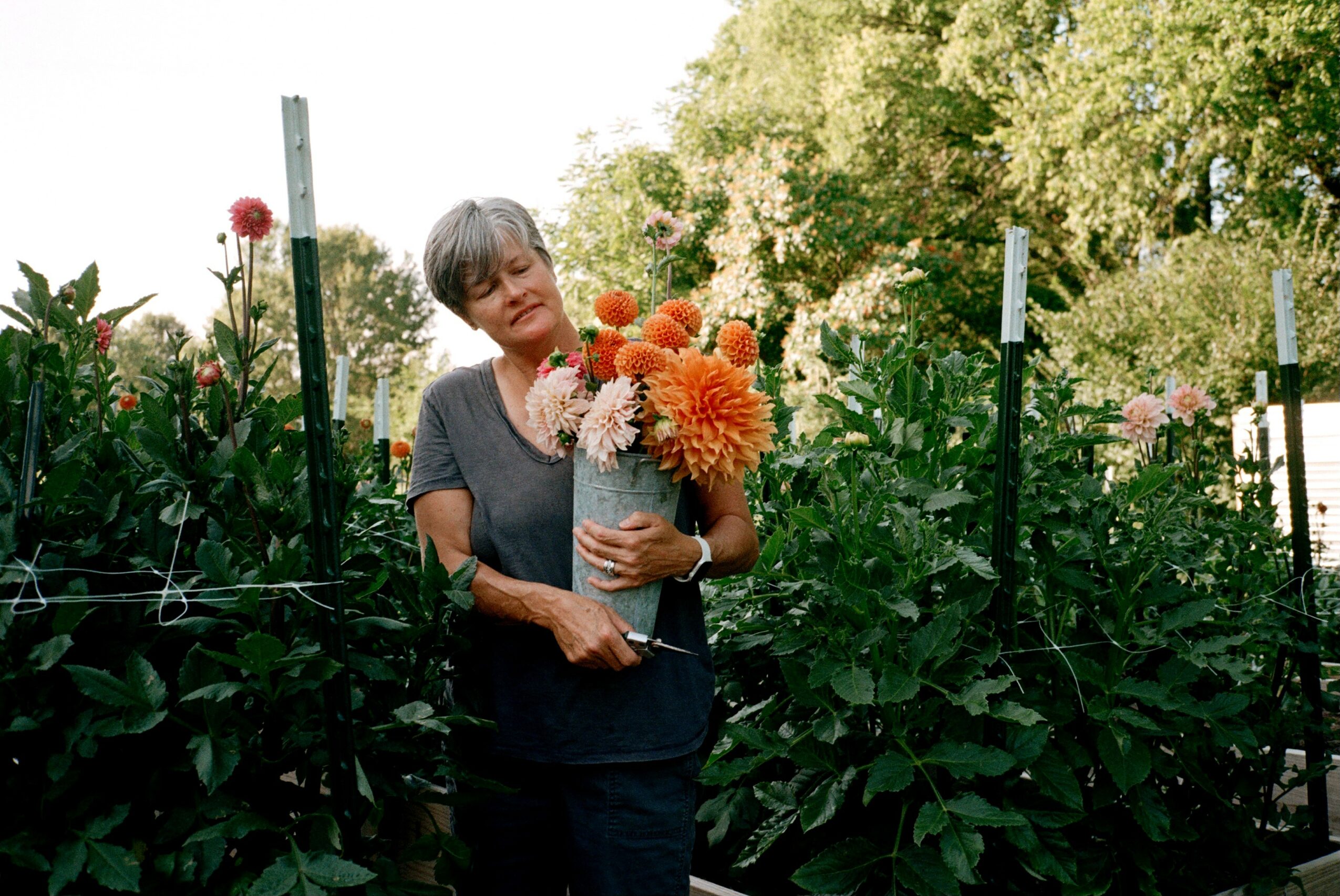 Conversations with Adrienne Smith - Voyage Knoxville Magazine
